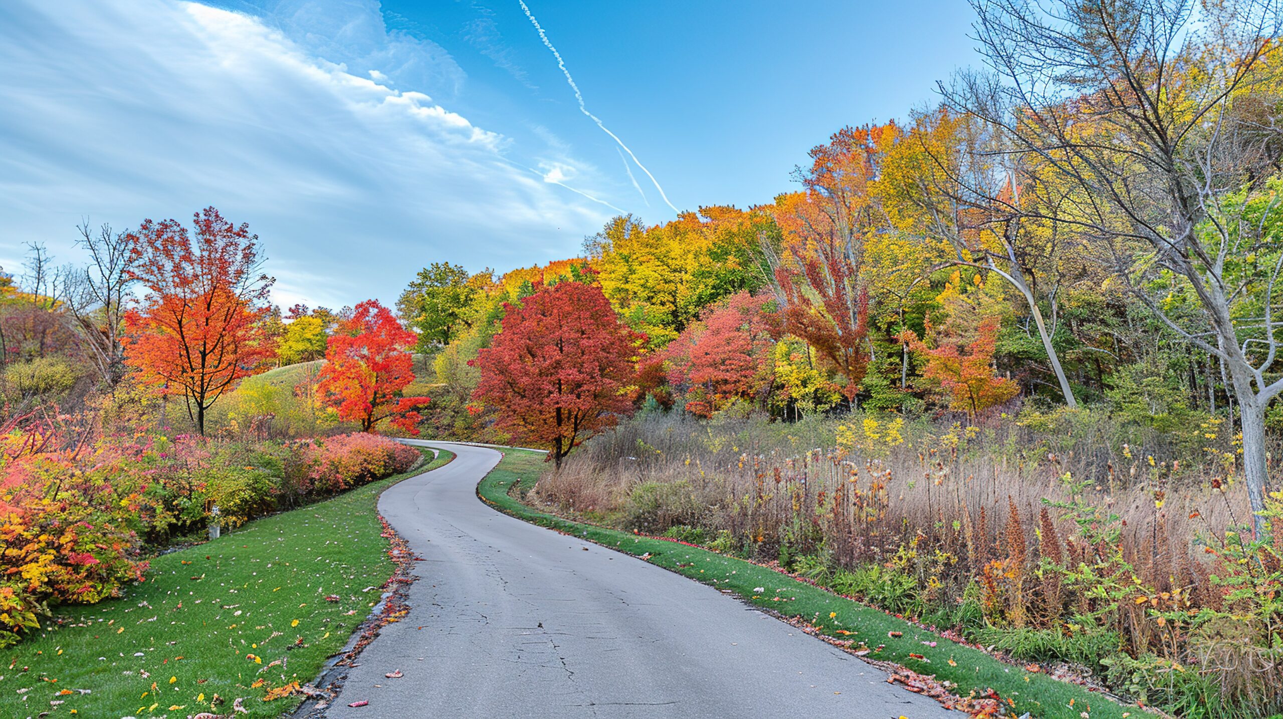 Discover 7 Amazing Fall Activities in Toronto with Limo Services!